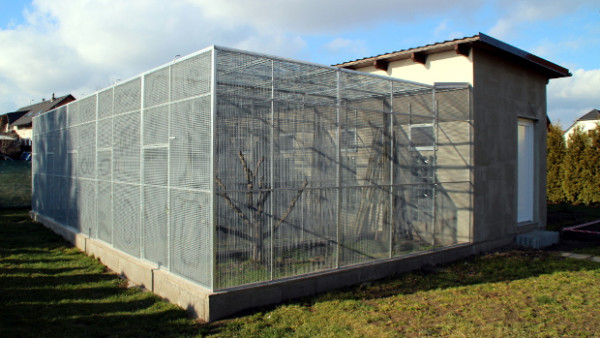 Stavíme voliéry pro papoušky (1.): Volba správného umístění a typu ...